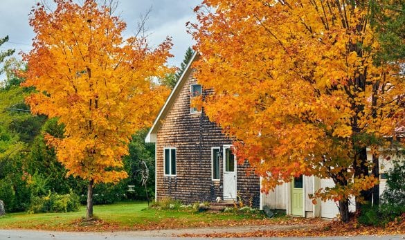 Fall Real Estate Market 2019: Time to Invest? | Mashvisor