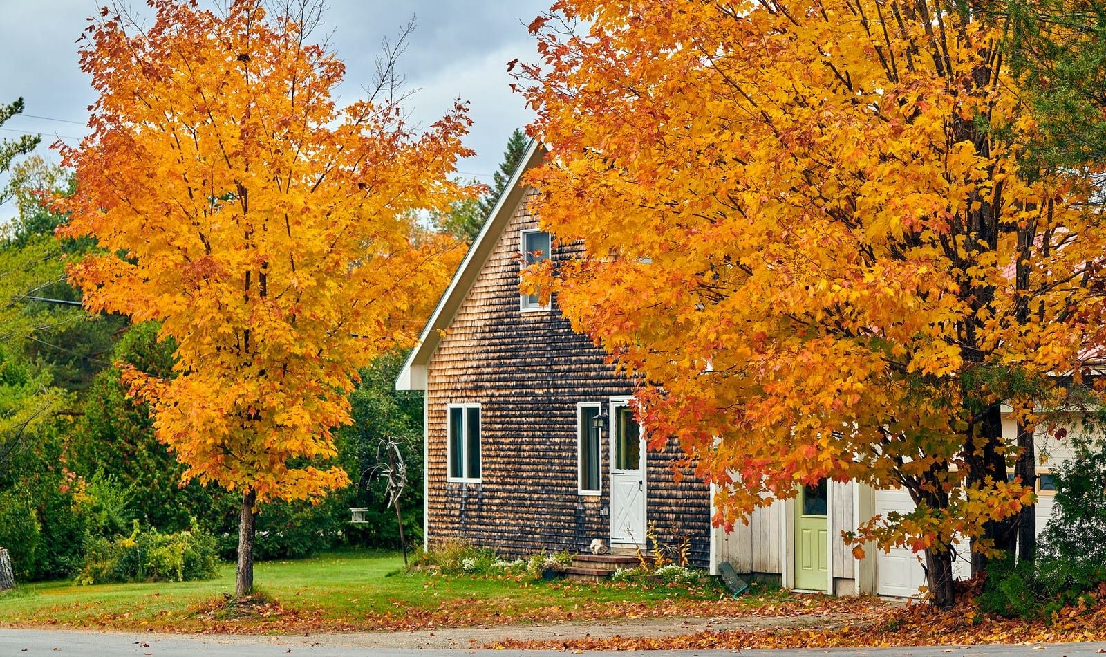 Fall Real Estate Market 2019: Time to Invest? | Mashvisor