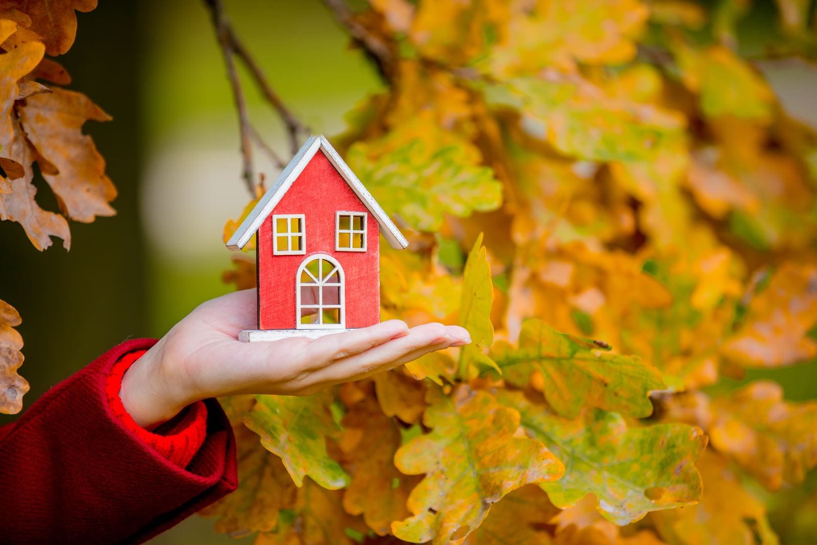 Fall Real Estate Market 2020: What to Expect | Mashvisor
