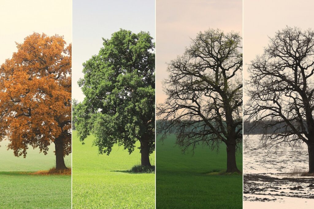 When's the Best Time to Find Rental Property? | Mashvisor