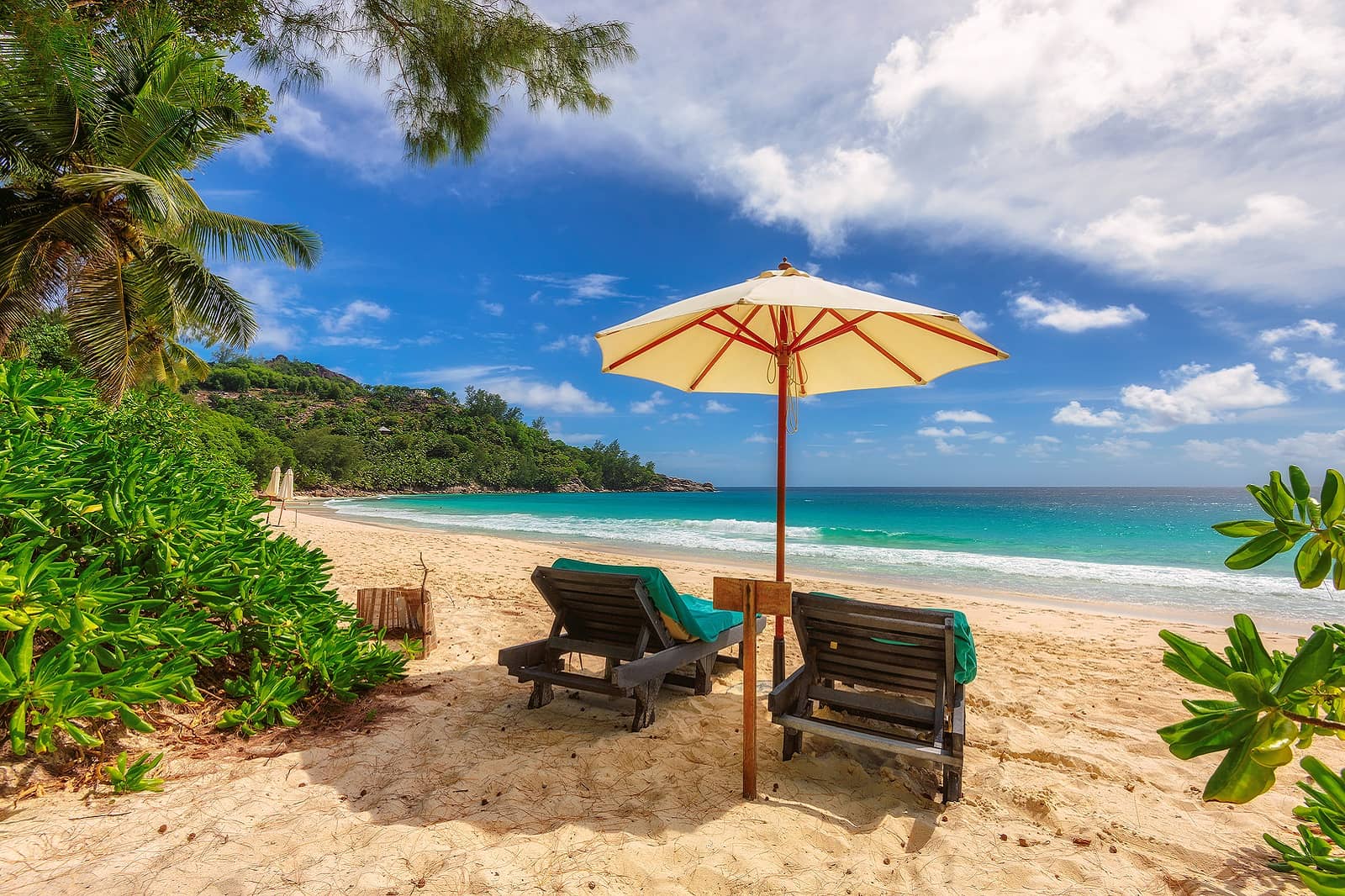 Airbnb Channel Manager: 8 Best Tools | Mashvisor